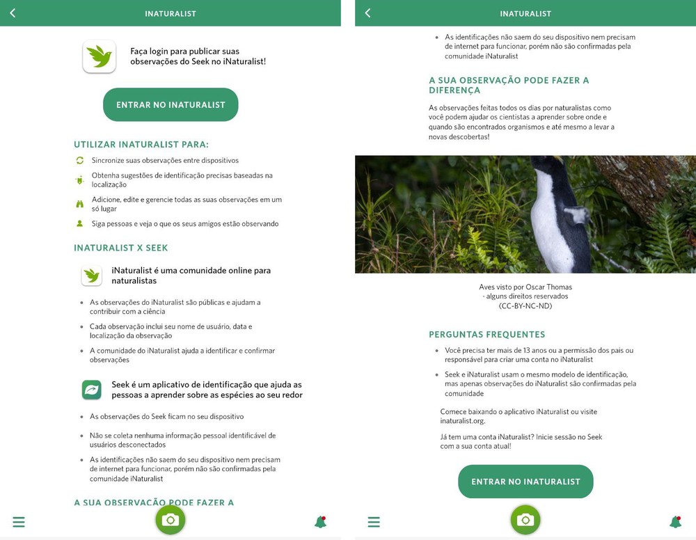 Seek permite identificar plantas e animais; saiba usar o aplicativo