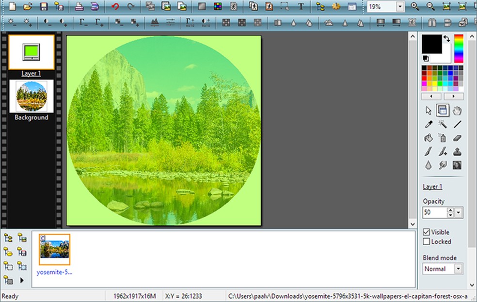 Picasa ou PhotoFiltre? Veja qual é o melhor editor de fotos grátis