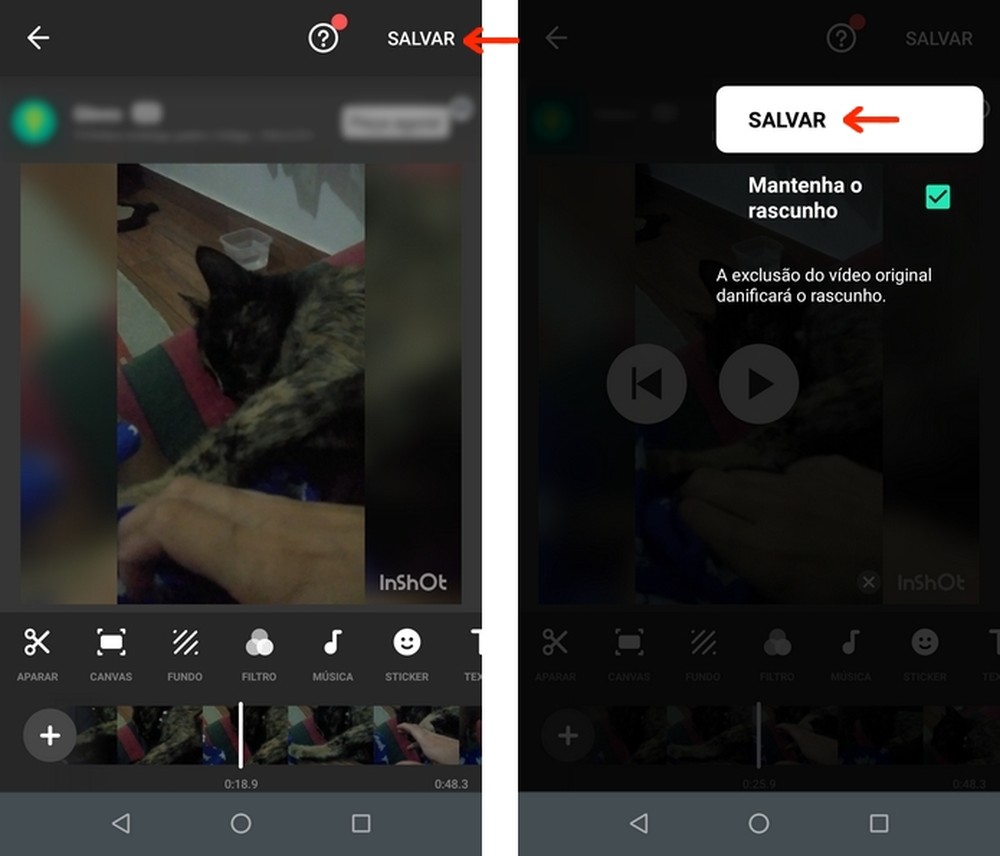 Aplicativo para colocar música em vídeo: saiba como usar o InShot