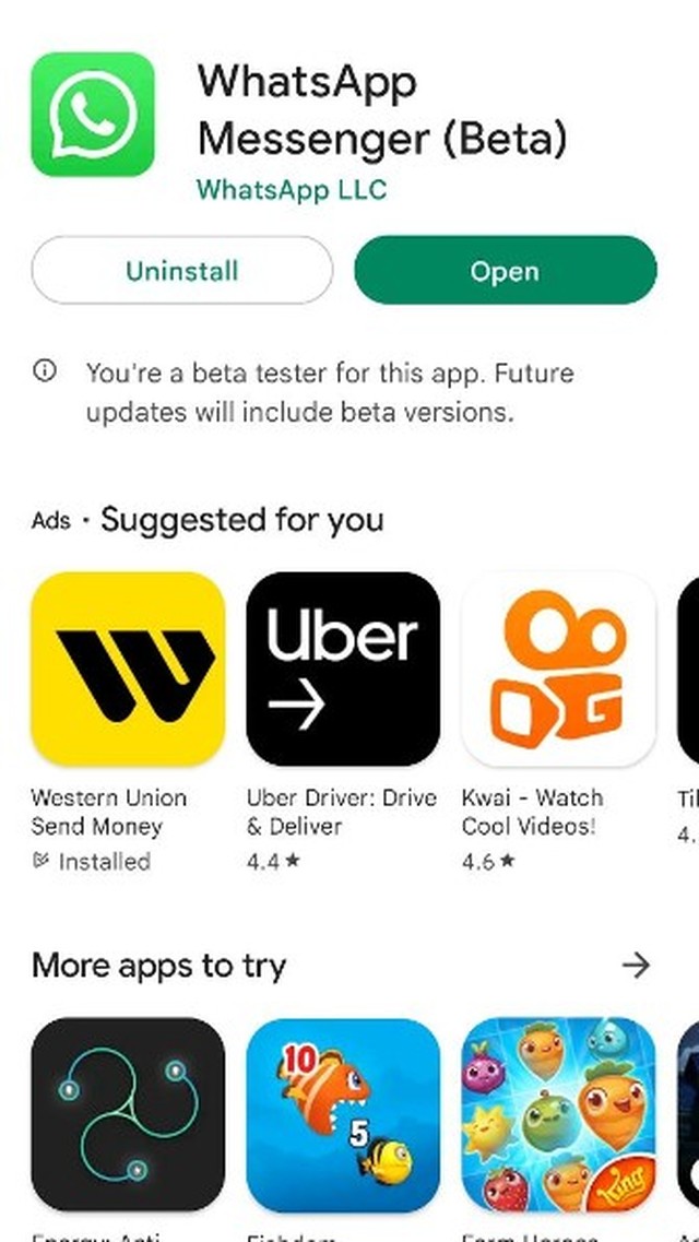 WhatsApp beta: o que é, como participar e baixar versão de testes do app