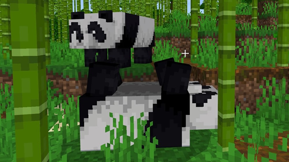 Panda no Minecraft: como domar, reproduzir, o que come e mais