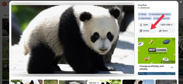 Yandex Images: o que é e como usar? Conheça o concorrente do Google Imagens