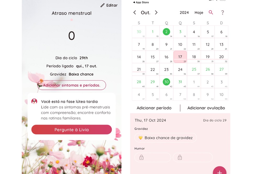 Melhor app de ciclo menstrual grátis: 10 opções para Android e iOS