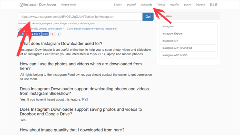 Instagram Downloader baixa fotos e álbuns usando apenas a URL