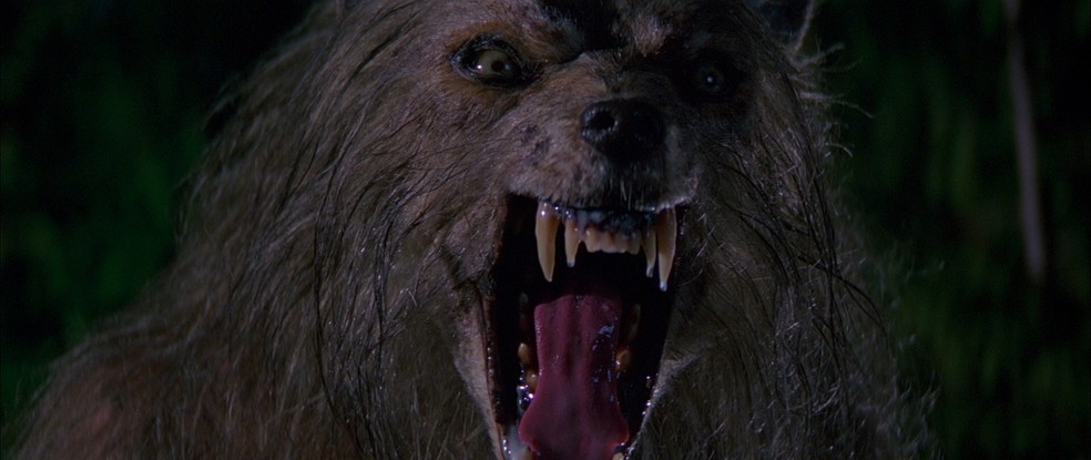 Veja 15 filmes de lobisomem bons que você precisa dar uma chance