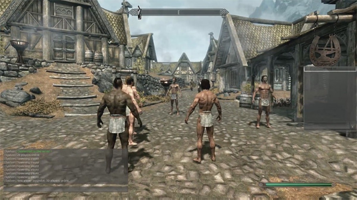 Modificação permite jogar The Elder Scrolls V: Skyrim em multiplayer online