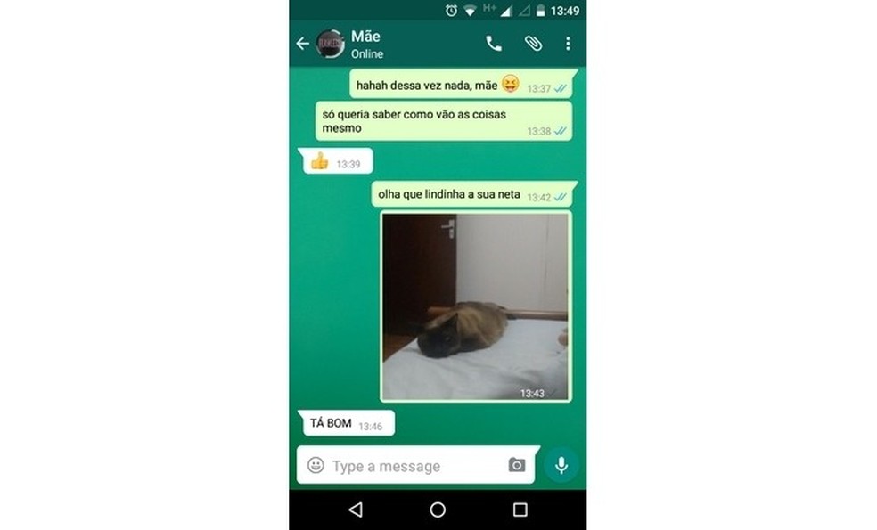 Como criar conversas falsas do WhatsApp com o Yazzy Simulator