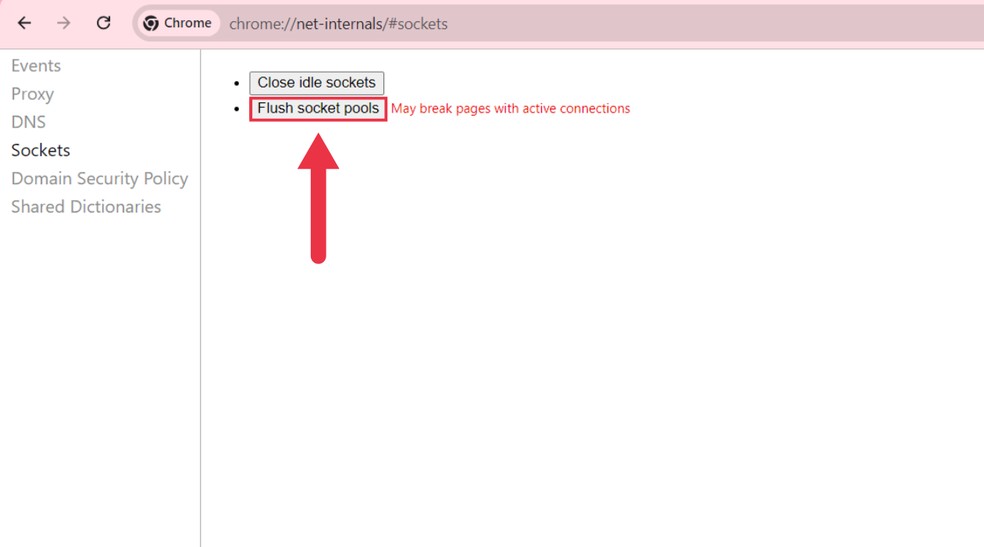 'chrome://net-internals/#dns': saiba o que é e como usar o comando