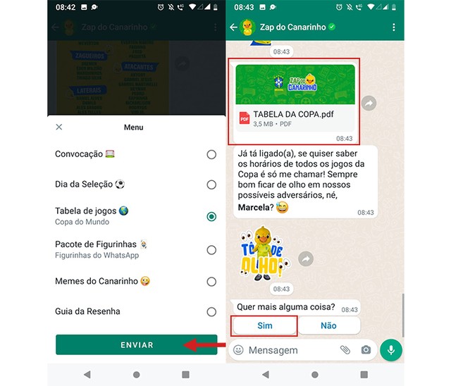 Zap do Canarinho na Copa: como ver convocação, horários de jogo e mais