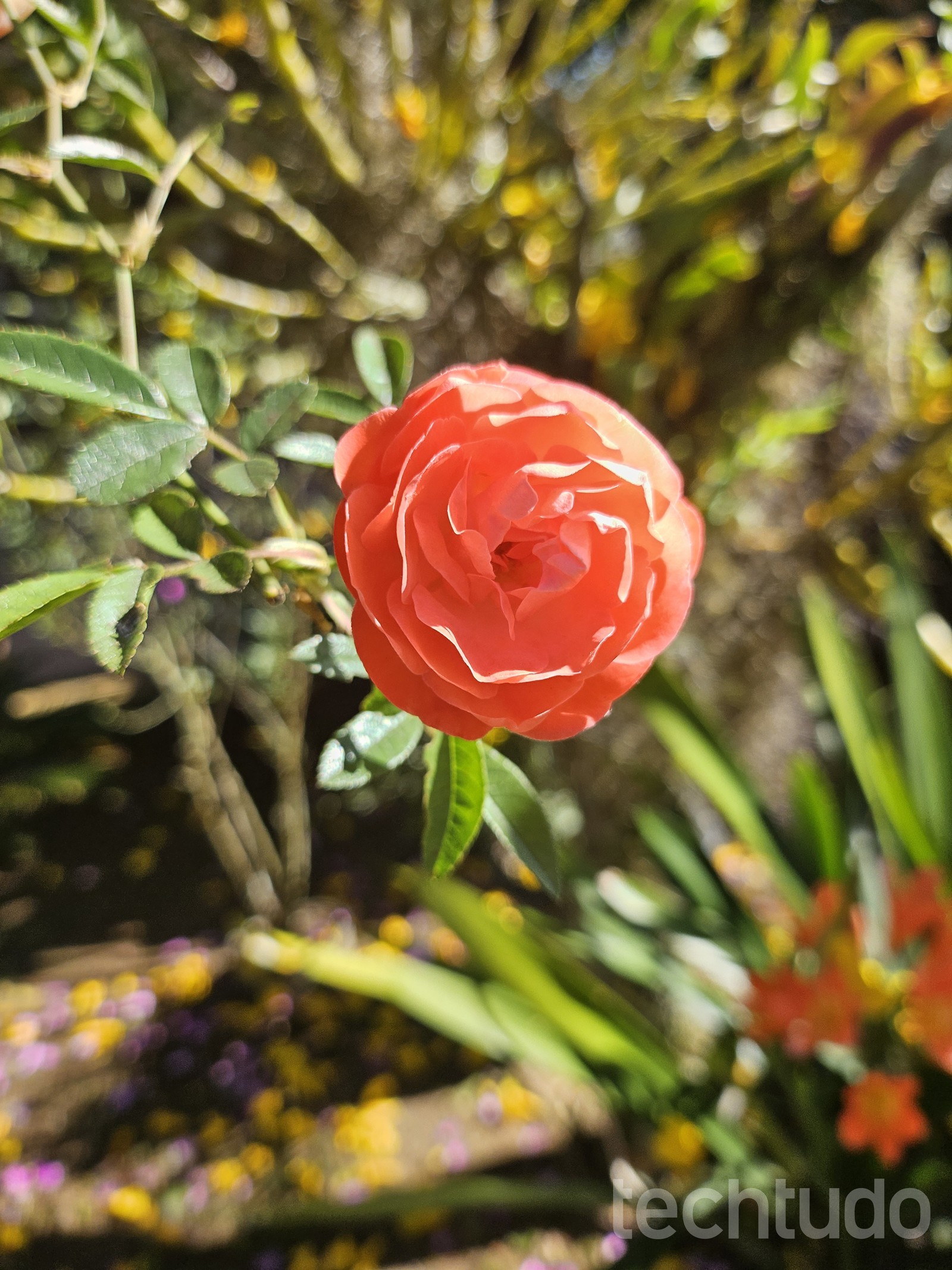 Galaxy Z Flip 5 em review: tela externa grande, upgrades modestos