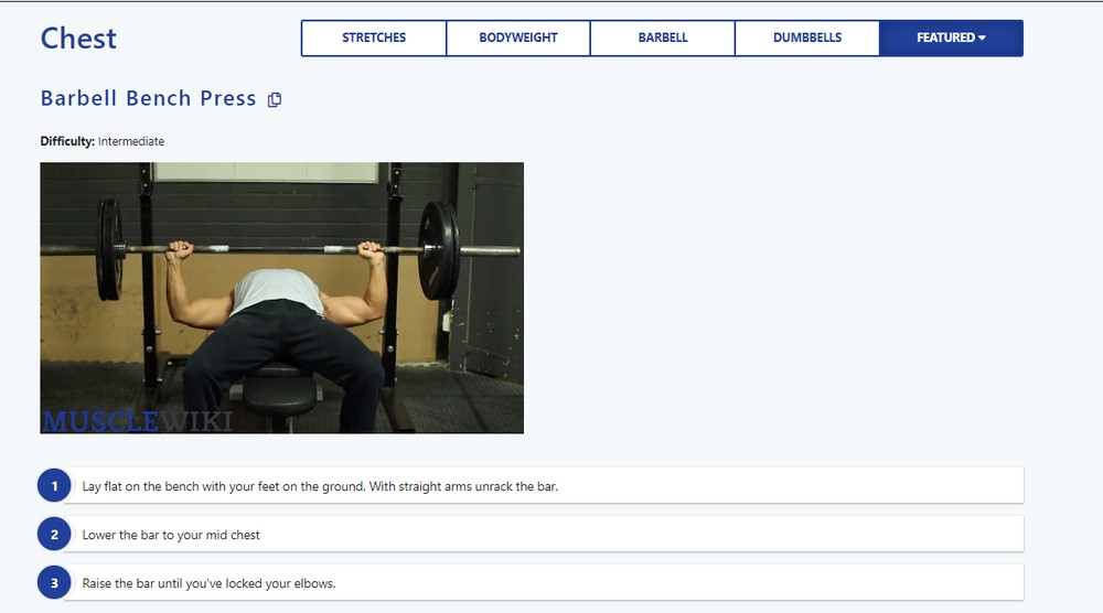 MuscleWiki: como usar site para encontrar exercícios para iniciantes