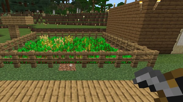 Como plantar Trigo no Minecraft