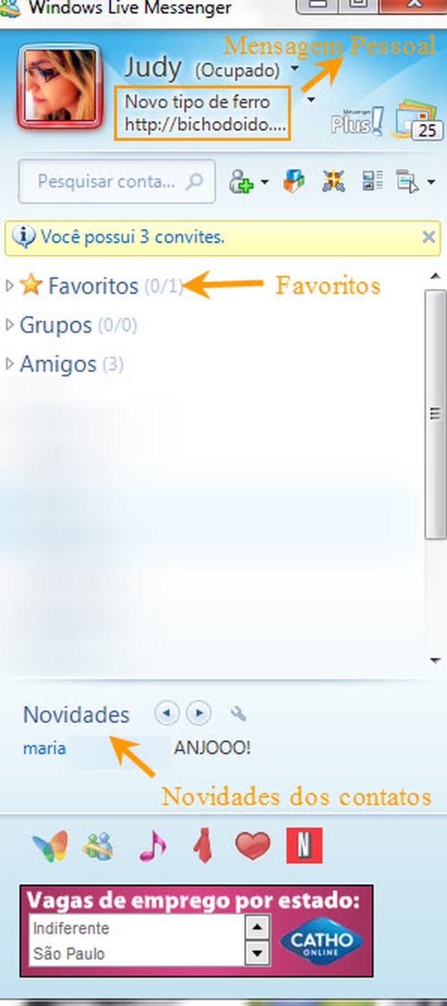 MSN Messenger: 12 anos de história
