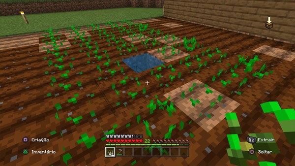 Como plantar Trigo no Minecraft