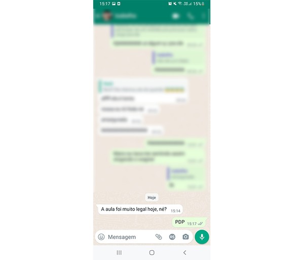 O que significa PDP no WhatsApp? Entenda 6 gírias muito usadas no app