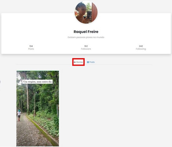 Anon IG Viewer é confiável? Como usar o site para ver Stories anonimamente