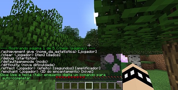 Minecraft: conheça cheats e códigos que vão facilitar a sua vida no game