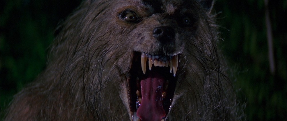 Veja 15 filmes de lobisomem bons que você precisa dar uma chance