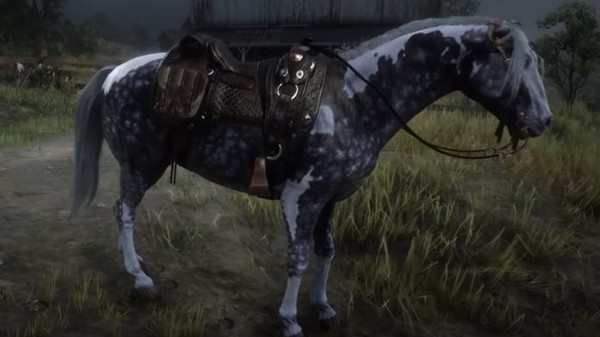 Red Dead Redemption 2: confira os melhores cavalos do jogo
