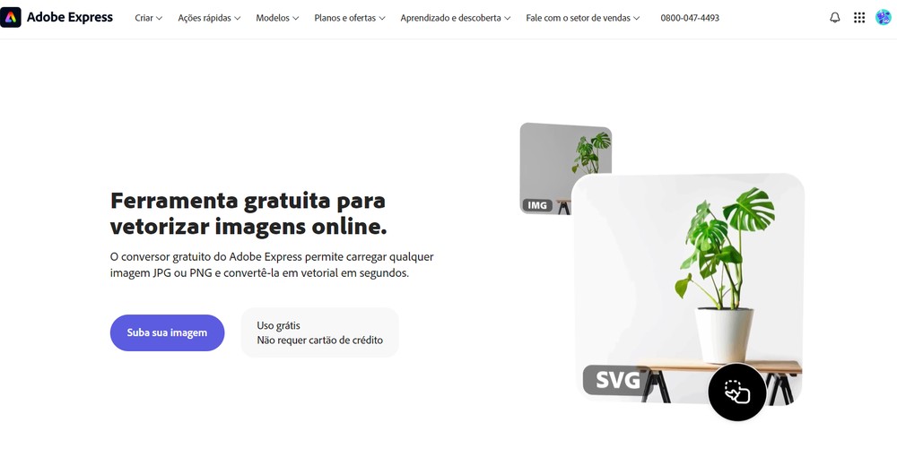 Como vetorizar imagem no Illustrator, Canva e outras ferramentas