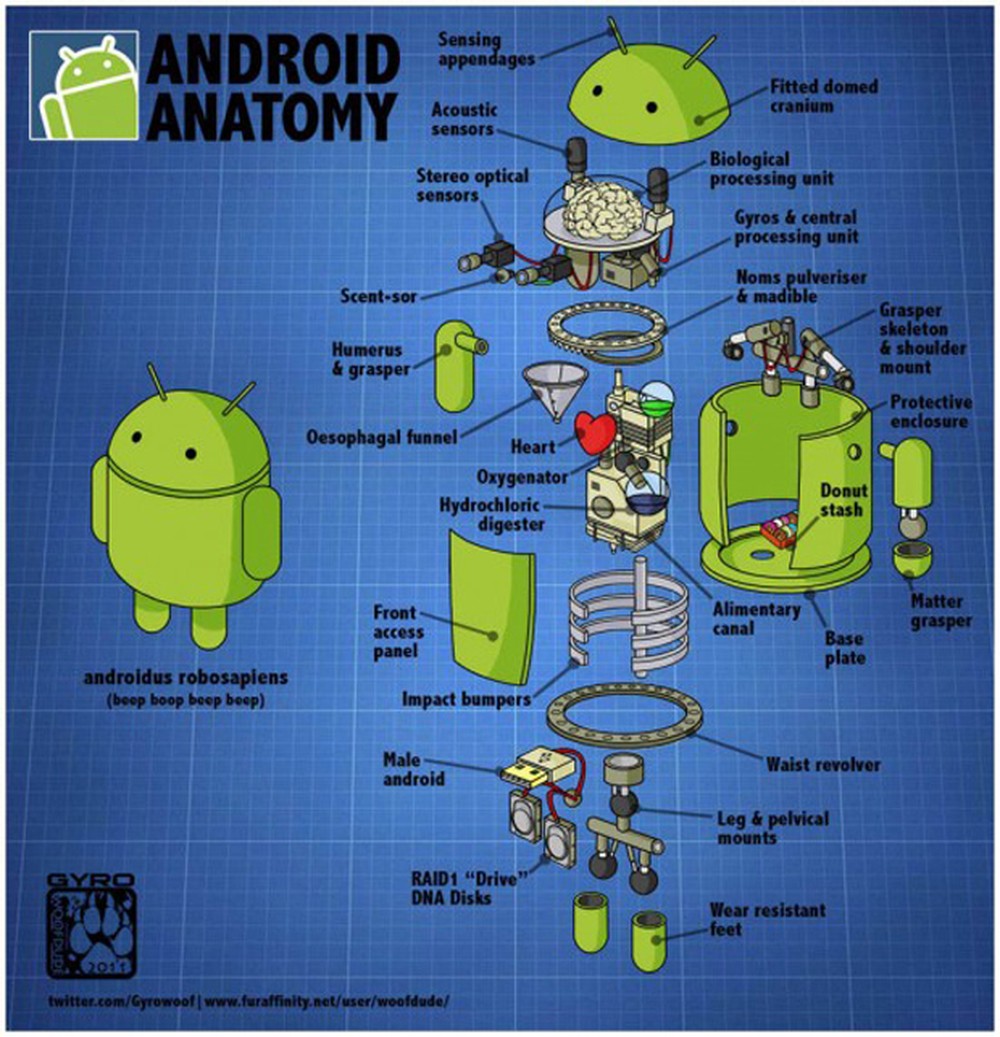 A anatomia do Android
