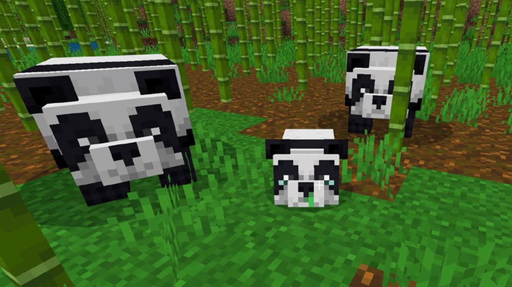 Panda no Minecraft: como domar, reproduzir, o que come e mais