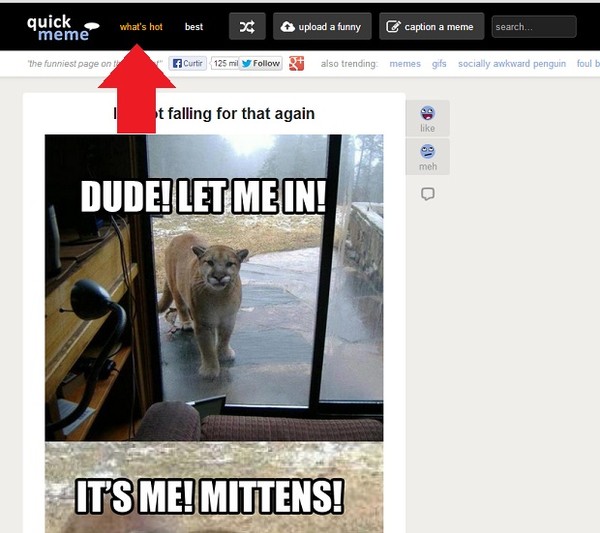 Seis sites indispensáveis para fazer seus próprios memes na Internet