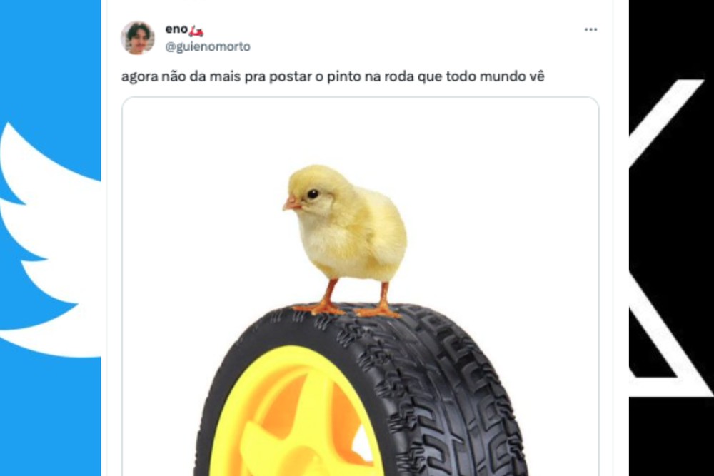 Fim da Roda do Twitter (X): usuários reagem com memes de duplo sentido ...