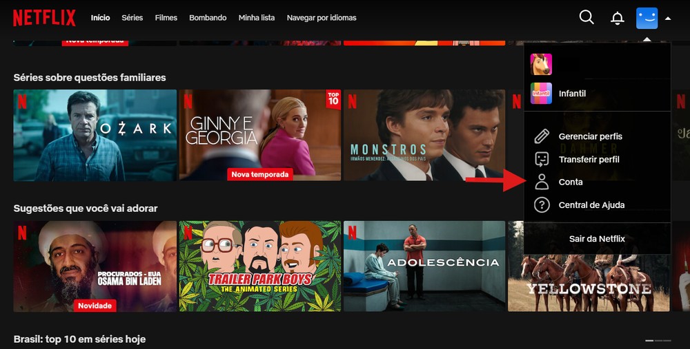 Como cancelar assinante extra da Netflix