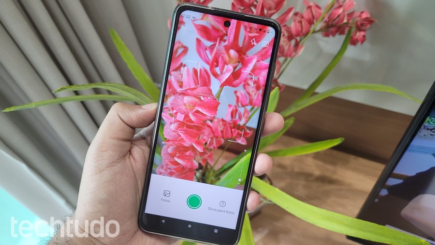 Plant Parent: app ajuda a cuidar das suas plantas; veja como usar