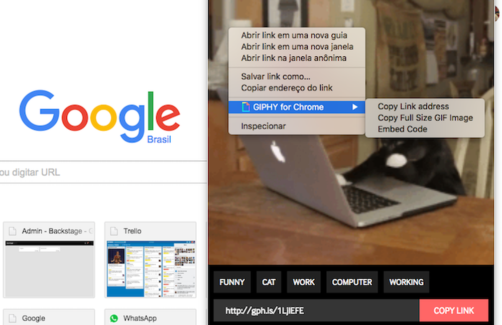 Giphy for Chrome: plugin pesquisa GIFs com um clique, veja truques