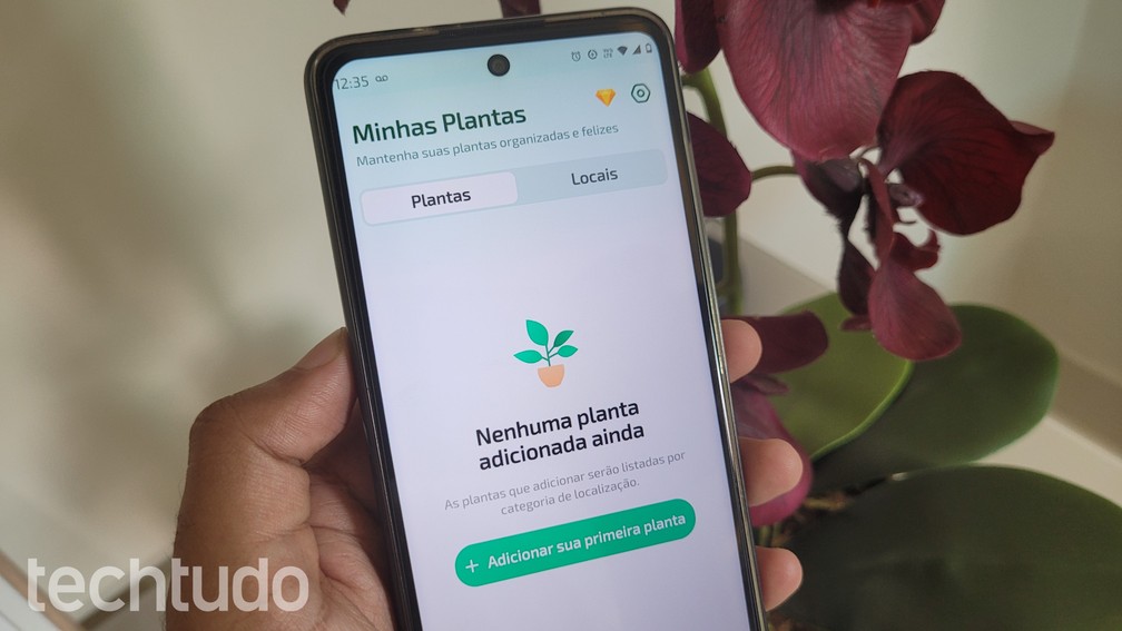 Plant Parent: app ajuda a cuidar das suas plantas; veja como usar
