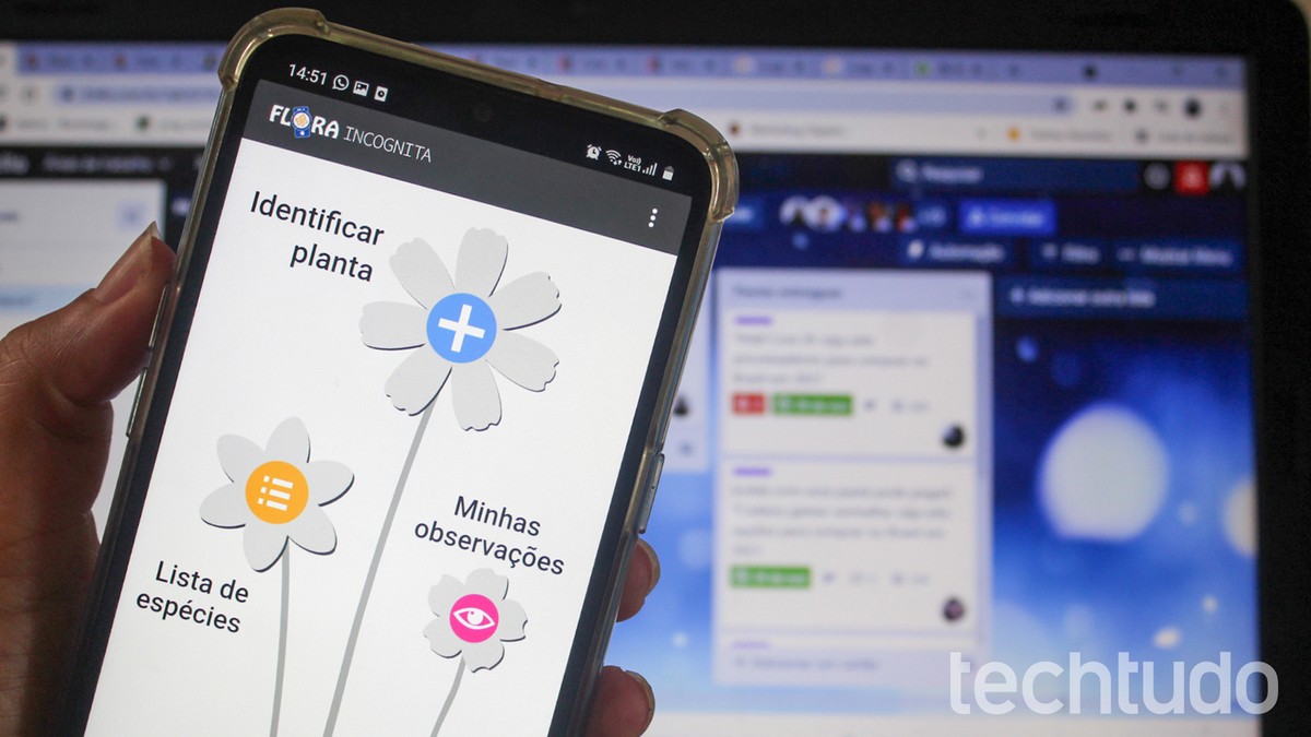 Como usar o app Flora Incognita para identificar plantas pelo celular