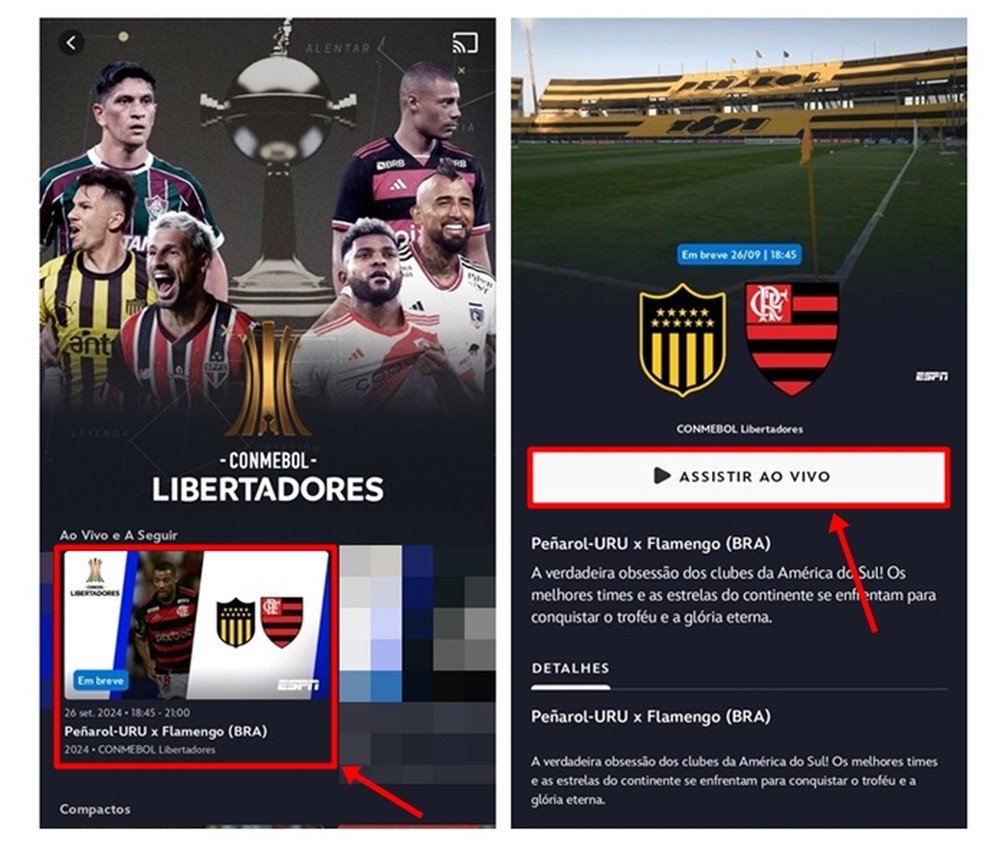Peñarol x Flamengo ao vivo: como assistir às quartas da Libertadores