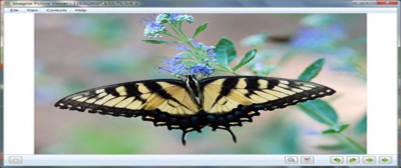 Imagine Picture Viewer | Software | TechTudo