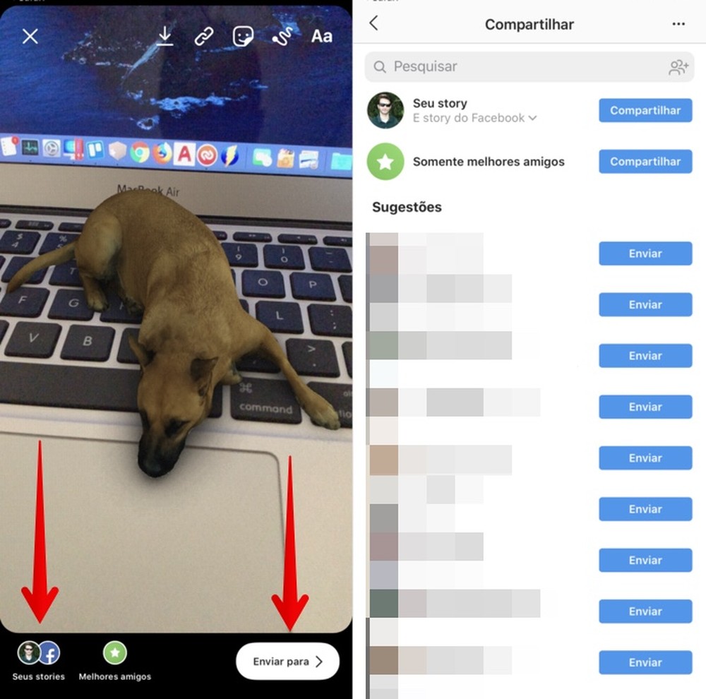 Filtro de cachorro no Instagram: como usar o efeito Sasha Dog