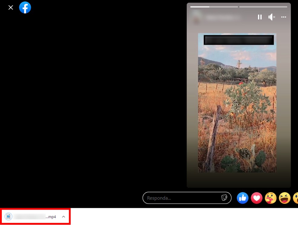 Como baixar Stories do Facebook pelo PC