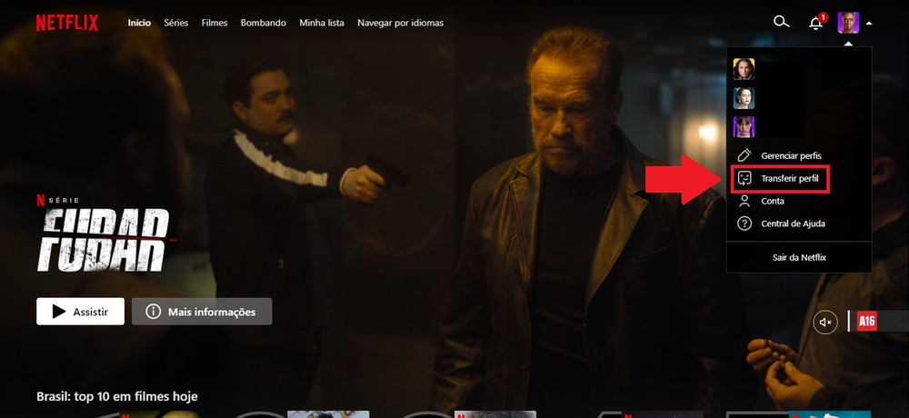 Como fazer transferência de perfil na Netflix