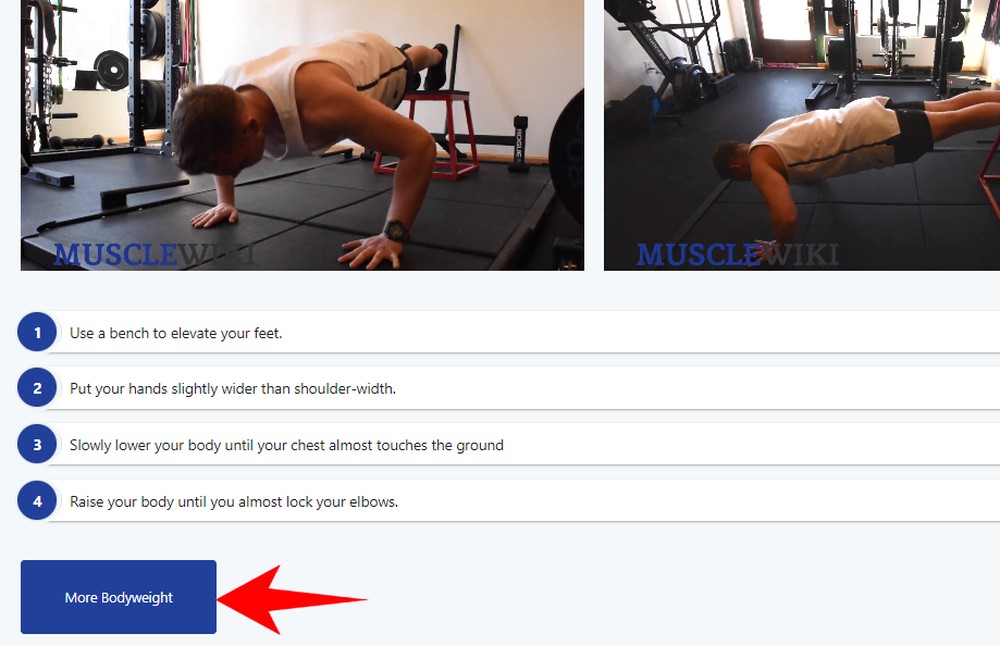 MuscleWiki: como usar site para encontrar exercícios para iniciantes