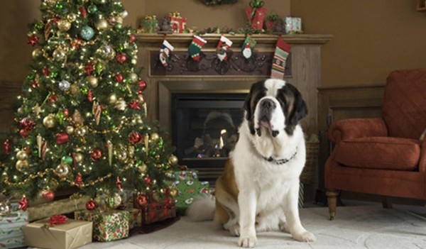 12 filmes de Natal infantis para assistir com as crianças e aproveitar