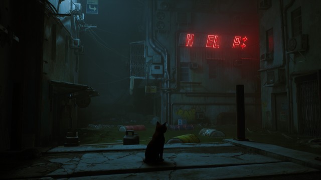 Stray: veja lançamento, gameplay e requisitos do 'Jogo do Gato'