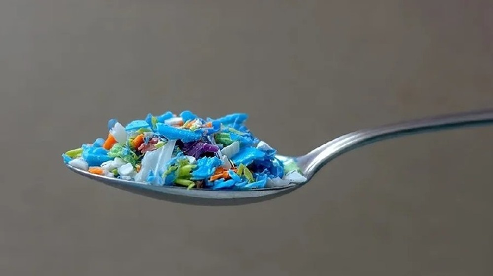 Marmita no micro-ondas? Cuidado com micro plásticos! Veja o que não botar