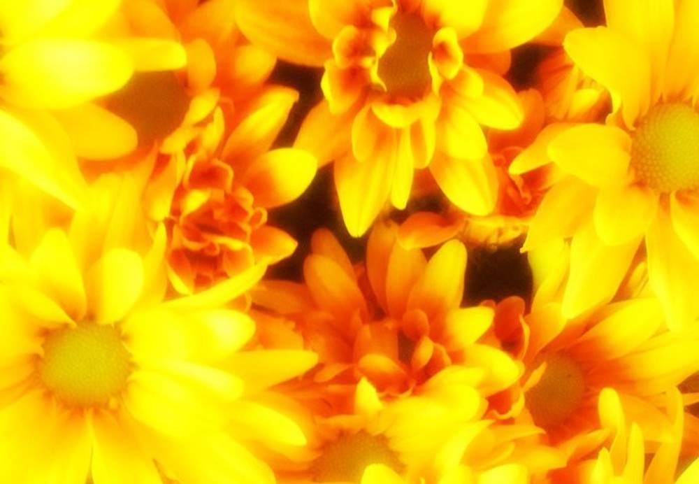 Como aplicar o efeito Vivid Light No Photoshop