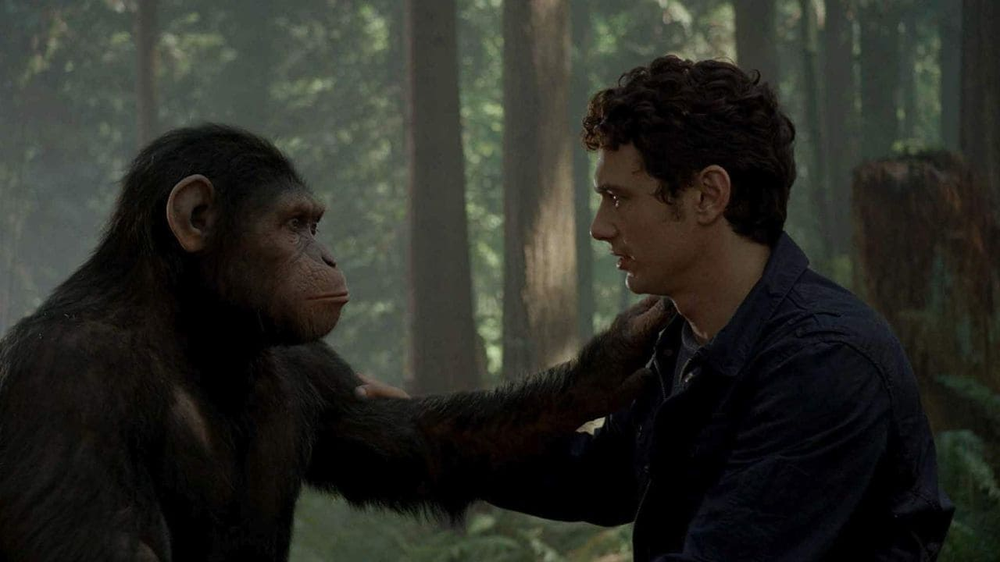 12 filmes com macacos que são bons e merecem sua atenção