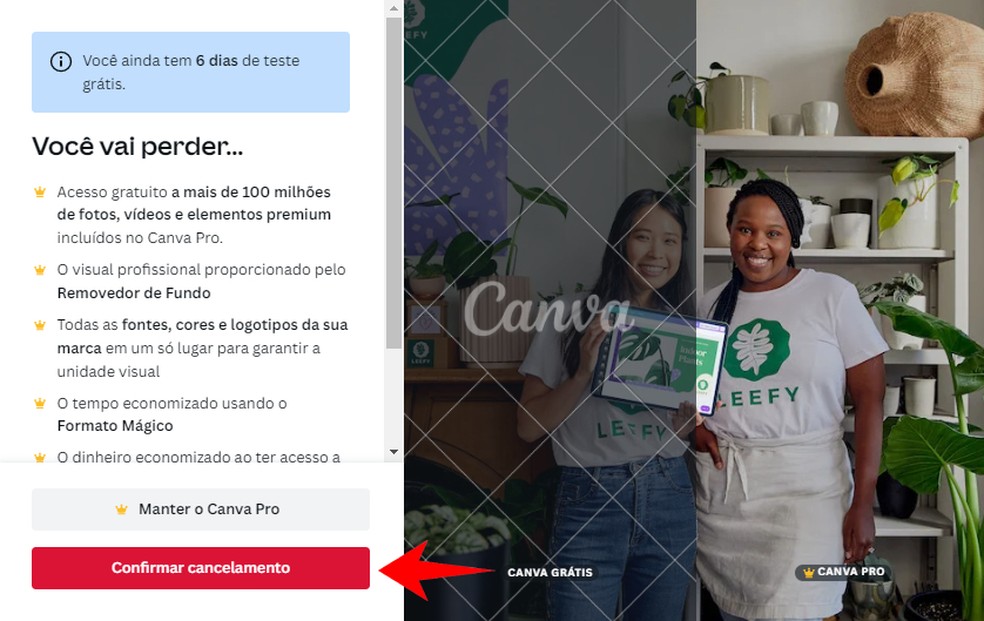 Como cancelar assinatura do Canva Pro