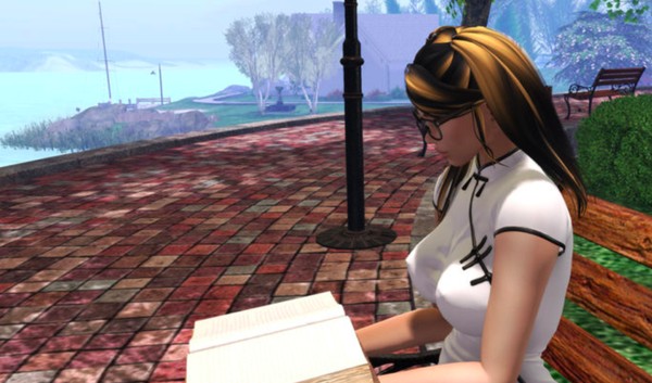 Second Life: confira curiosidades do simulador febre dos anos 2000