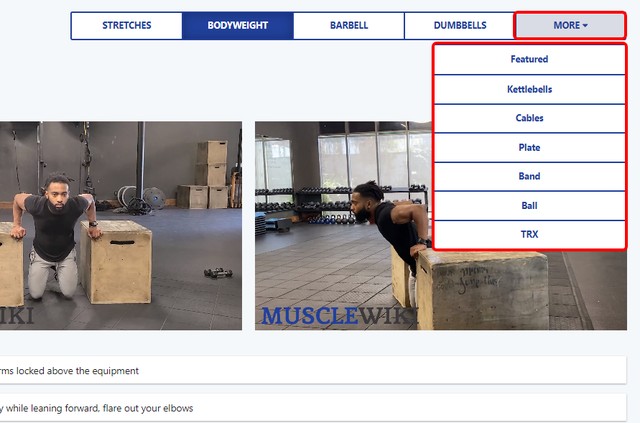 MuscleWiki: como usar site para encontrar exercícios para iniciantes