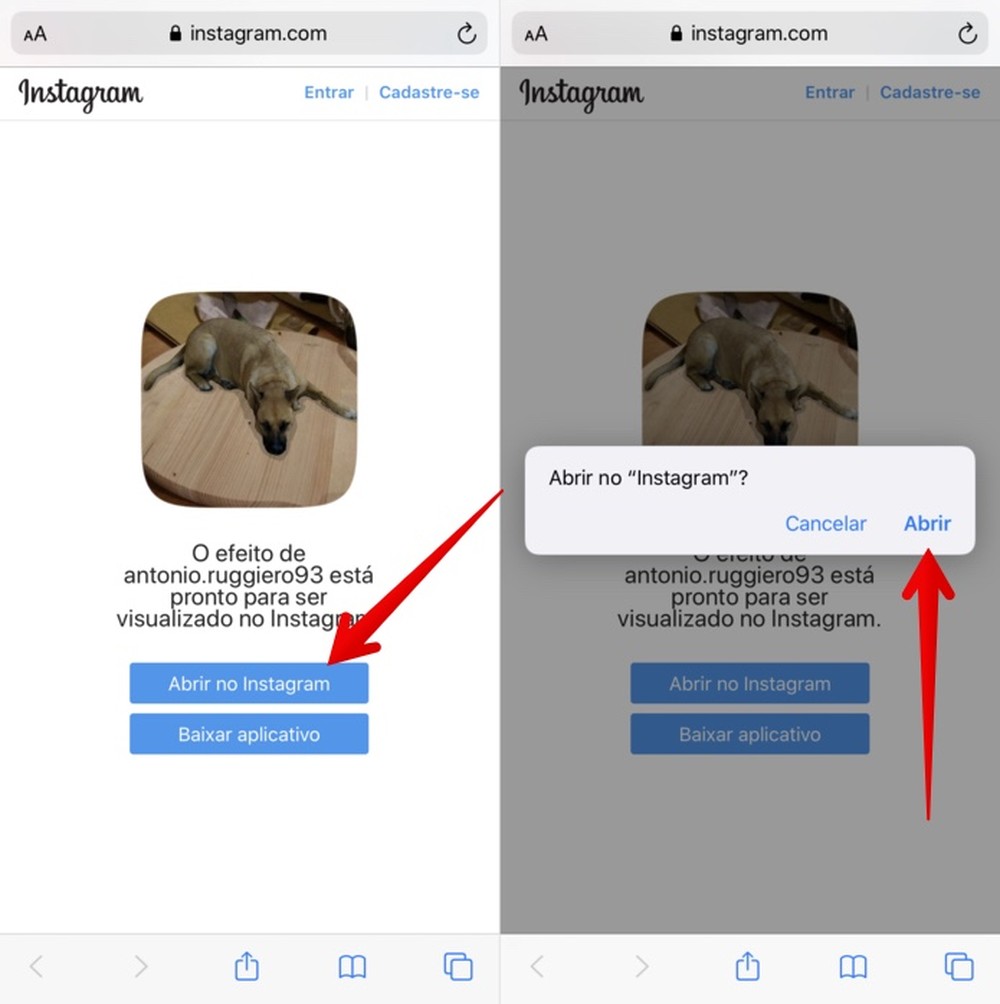 Filtro de cachorro no Instagram: como usar o efeito Sasha Dog