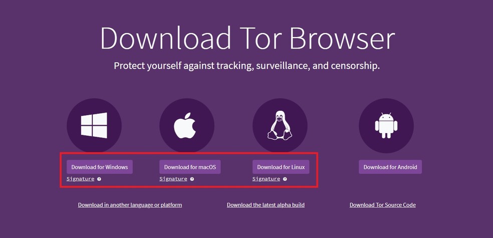 Tor Browser: como fazer download e instalar navegador privado