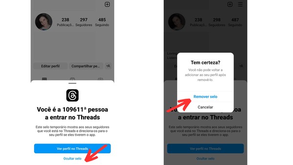 Como tirar o Threads da bio do Instagram? Veja o passo a passo